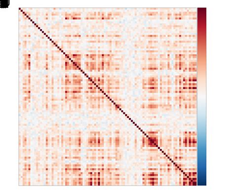 1122 Rest Fmri Processing The Macaquedemorest — Afni Suma And