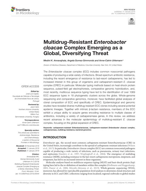 Pdf Multidrug Resistant Enterobacter Cloacae Complex Emerging As A