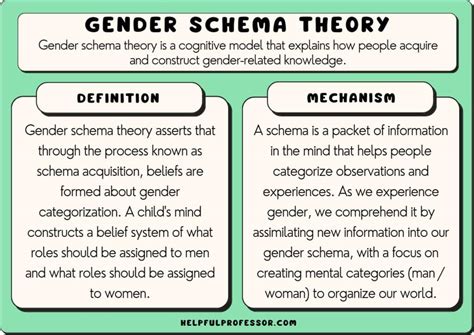 gender schema theory examples definition criticisms 2024
