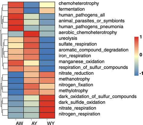Functional Annotation Of Prokaryotic Taxa Faprotax Analysis Was