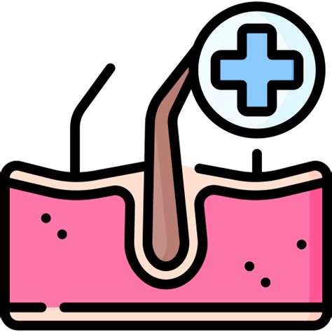 Communication Function Classification System Cfcs Complete