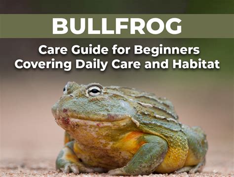 Bullfrog Complete Care Guide Promeal