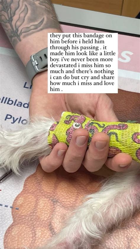 Chloe Moriondo Ig Story Chloe Girl Sweet Girls