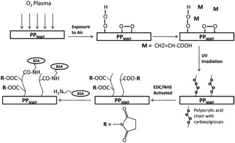 The Scheme Of Uv Irradiated Surface Graft Polymerization Of Paa And