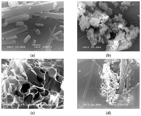 The Formulation Of Curcumin 2 Hydroxypropyl β Cyclodextrin Complex