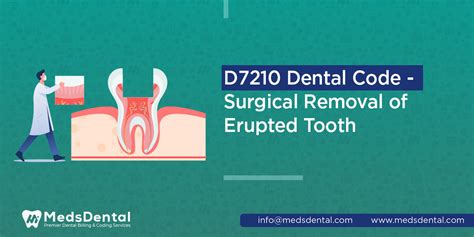 Epulis Removal Dental Code At Rita Magno Blog