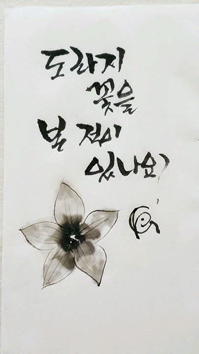 Have You Ever Seen A Bellflower 글씨 서예 Calligraphy Handwriting 도라지꽃