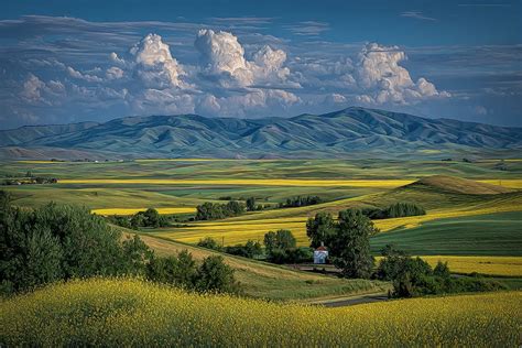 Bunchgrass Farmhouse Walla Walla Wa