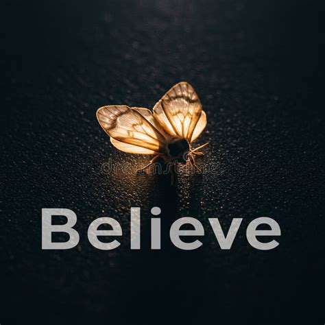A Moth With Translucent Wings Is Illuminated Against A Dark Background Casting A Light Stock