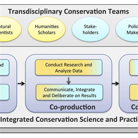 Pdf Mainstreaming The Social Sciences In Conservation