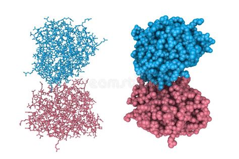 Strigolactone Stock Illustrations 6 Strigolactone Stock Illustrations