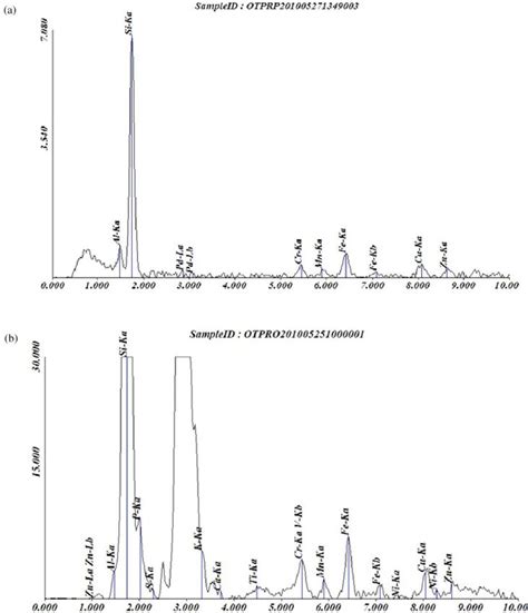 Sg Ii Up Prototype Final Optics Assembly Optical Damage And Clean Gas