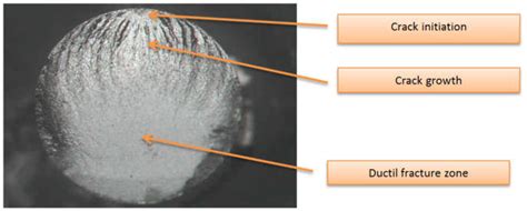 Fatigue Fracture Surface Characterization 13× Download Scientific Diagram