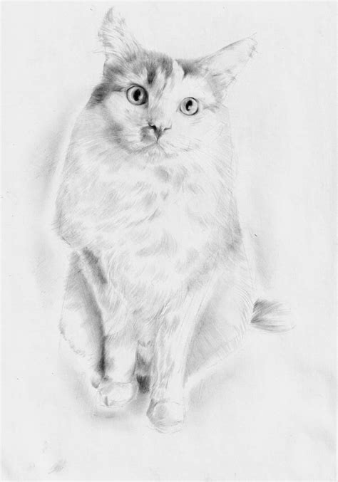 Pogaca By Bravecuddlywolf On Deviantart