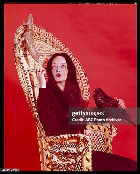 Carolyn Jones Gallery Photos And Premium High Res Pictures Getty Images