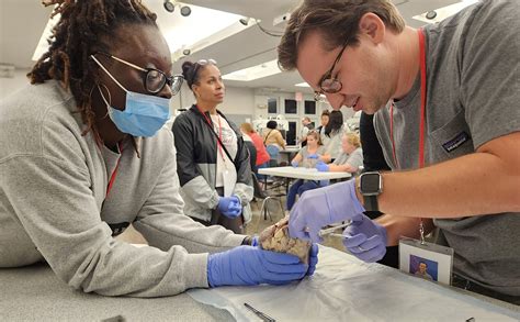 Stem Integration Institute For School Partnership