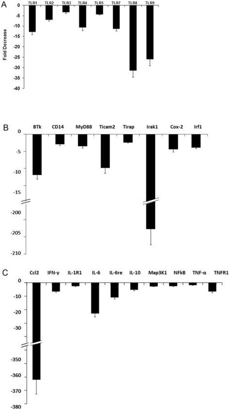 Commercial Pcr Arrays Were Used Fold Decrease Was Calculated By