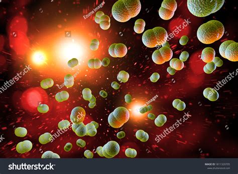 Microscope Close Meningitis Bacteria Known Meningococcus 库存插图