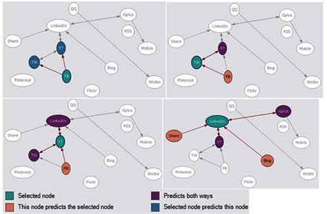 The Dependency Network Graph Of Selected Social Media Adoptions