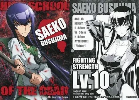 Highschool Of The Dead Saeko