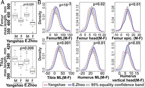 Differences Between Male And Female Postcranial Measurements A