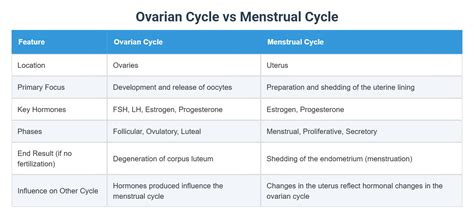 Ovarian Cycle Vs Menstrual Cycle