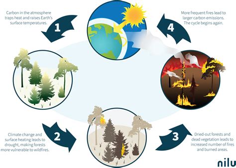 Large Parts Of Southern Europe Must Brace For Wildfire Season Nilu