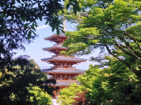 Amanohashidates Temple Nariaiji Japan Airlines