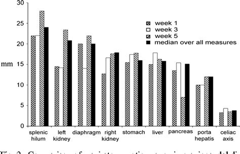 Structure Of Splenic Lymph Node Semantic Scholar