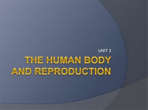 The Human Body And Reproduction Ppt