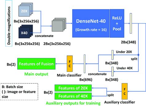 Dmc Patch Based Classifier Architecture Download Scientific Diagram