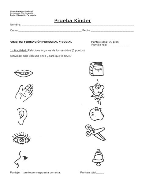 Diagnostico Prueba Kinder Descargar Gratis Pdf Educación De La
