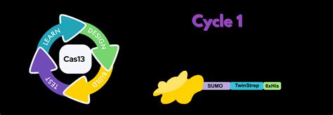 Engineering Ju Krakow Igem 2024