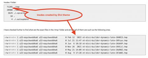 divi wordpress theme created 70 000 inodes on my server