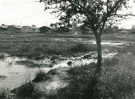 Photos The Love Canal Disaster