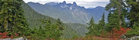 Park History — Friends Of Cypress Provincial Park