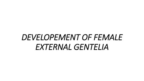 Development Of Female Reproductive Systempptx