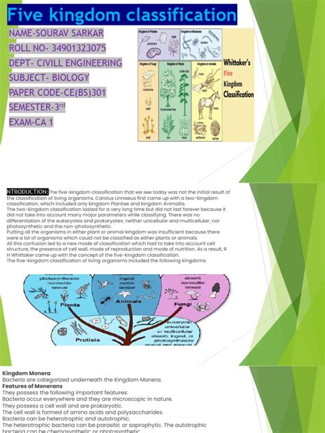 Five Kingdom Classification Overview Pdf Fungus Plants