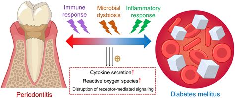 Frontiers Endogenous And Microbial Biomarkers For Periodontitis And