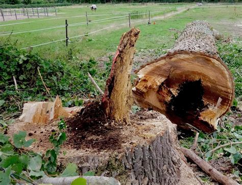 Uitzicht Op Eemnes Veranderd Oog Op Blaricum