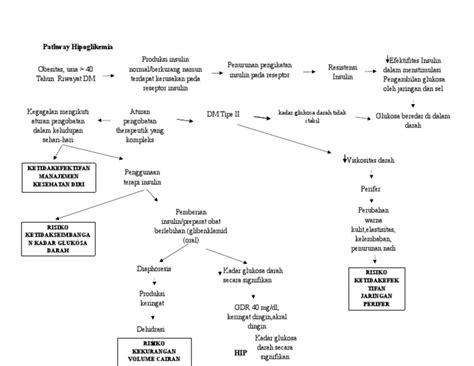 Pathway Hipoglikemia Pdf