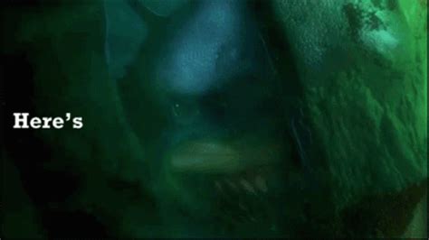 Finding Nemo Bruce  Finding Nemo Bruce Heres Brucey Discover