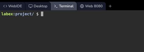 Labex Vm Terminal Interface Labex Support