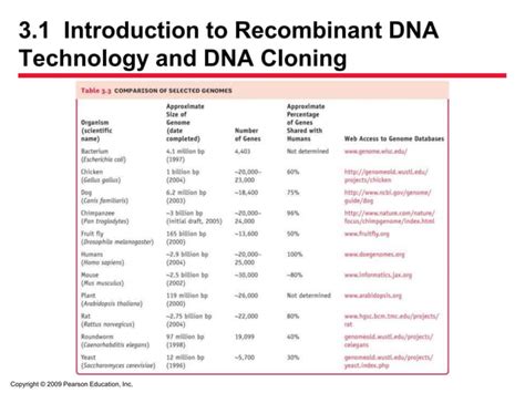 Chapter 3 Recombinat Dna And Genomicsppt