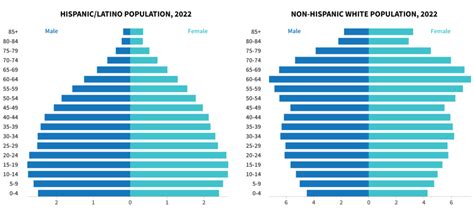 Shifts Flips And Blips Reflecting On 25 Years Of Us Population