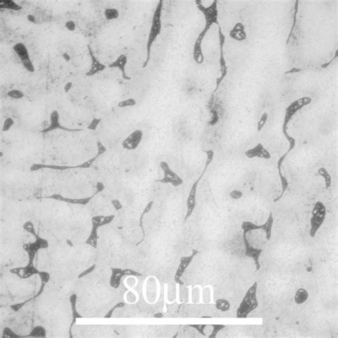 Al 95 Cu 5 Wt Microsegregation Cored Dendrites Flickr