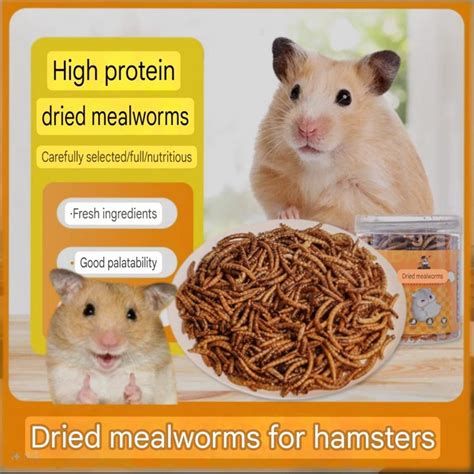 Dried Mealworm Protein Food Mealworm Non Gmo Treats Hedgehog Sugar