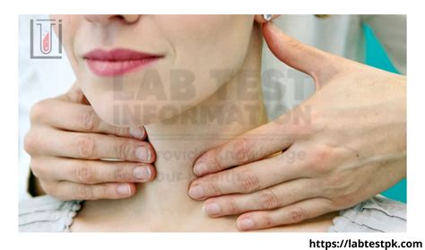 Thyroid Peroxidase Antibodies Normal Range