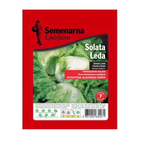 Solata Leda 25 G Semenarna Spletna Prodaja Kalia