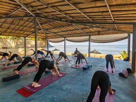 A Guide To Yoga In India Ashrams Retreats And Ytts 2025